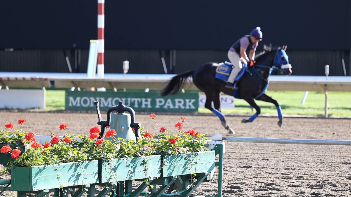 $150,000 Haskell weekend trainer challenge returns