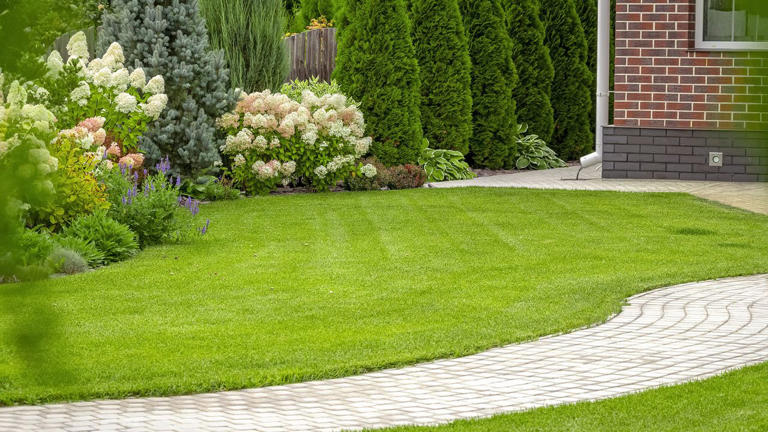 Step-by-step to a lush summer lawn – 5 simple May tasks for thicker ...
