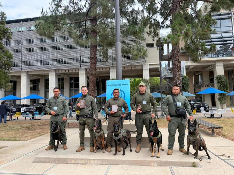 Baja California canine teams win big at 2026 K-9 trial in San Diego