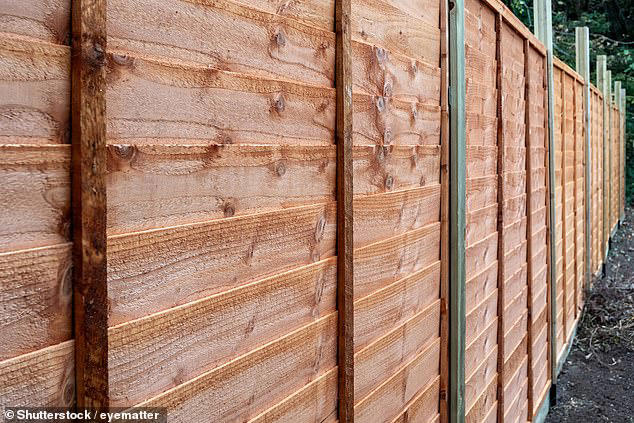 What your fence says about you, including why grey paint screams bad taste