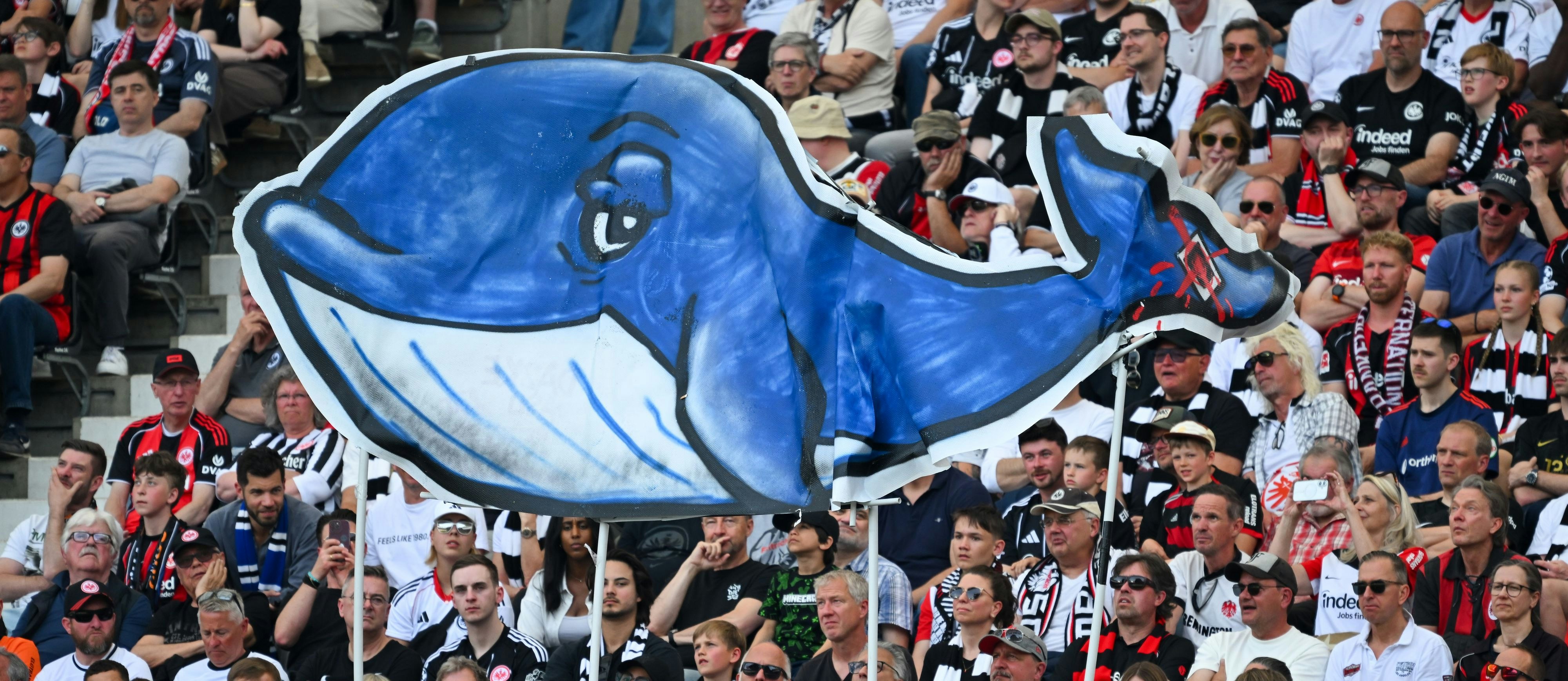 Wal Timmy: So dilettantisch lief die Rettungsaktion wirklich ab