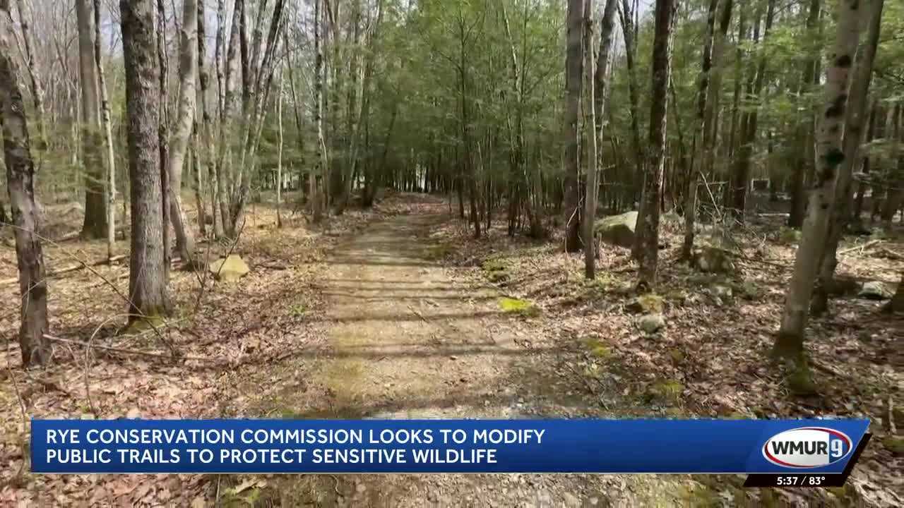 Rye Conservation Commission looks to modify public trails to protect ...