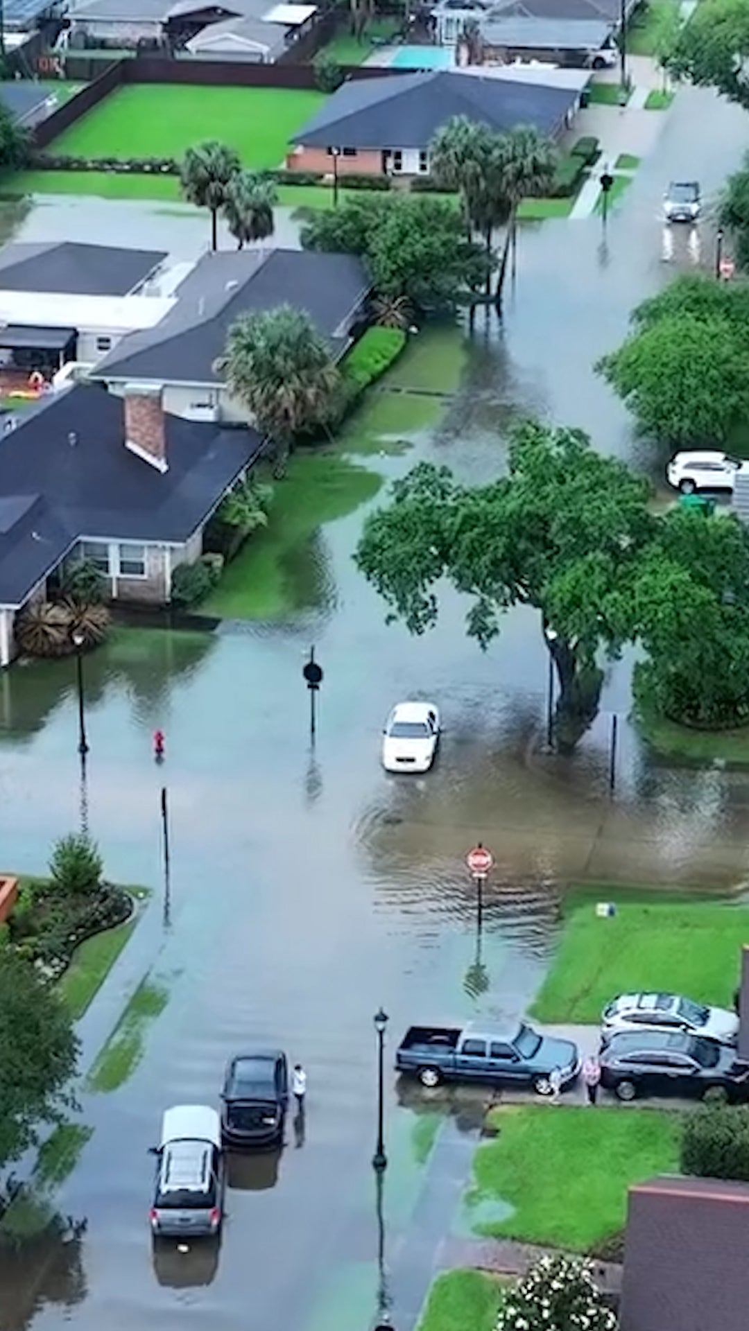 Should New Orleans relocate?
