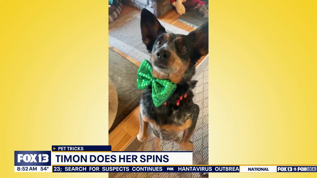 Good Day pet tricks for Tuesday, May 5
