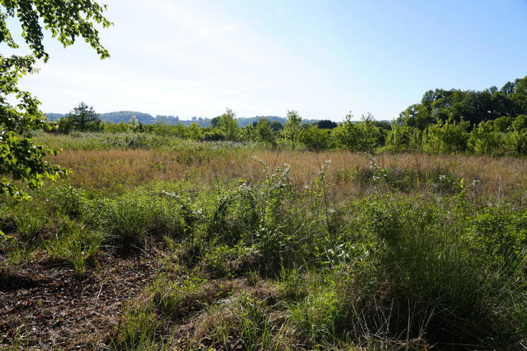 Edneyville Park to close, land to house Sheriff's Office impound lot