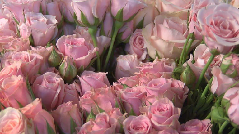 Rising gas prices impact flower delivery ahead of Mother’s Day weekend