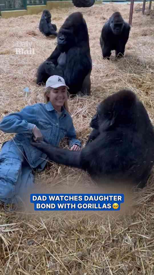Girl shares lifelong bond with gorilla in touching interaction