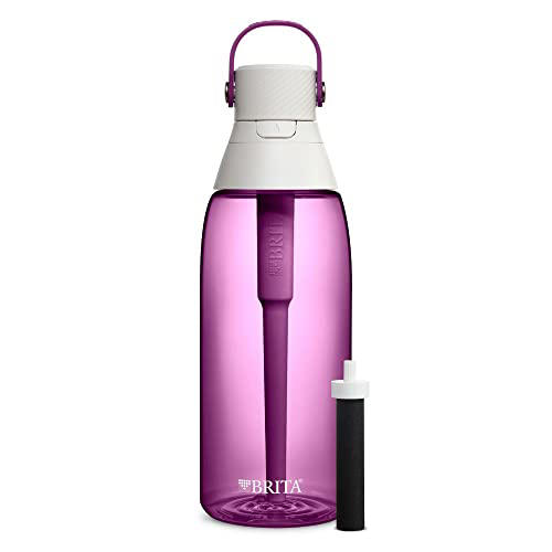 Experts say these are the best water filters and purifiers for cleaner ...