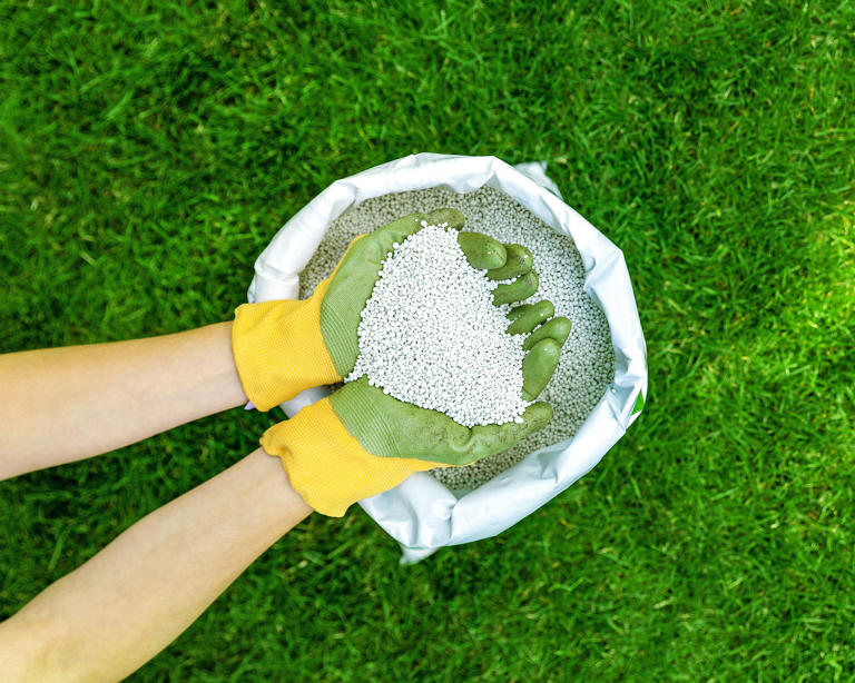 Step-by-step to a lush summer lawn – 5 simple May tasks for thicker ...