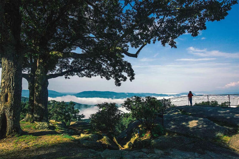 Spend a weekend 'wine-hopping' in Asheville, NC
