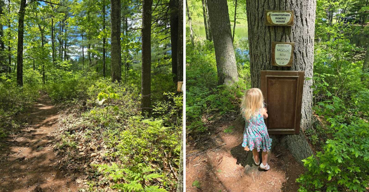This whimsical New Hampshire trail leads right into the Hundred Acre Wood