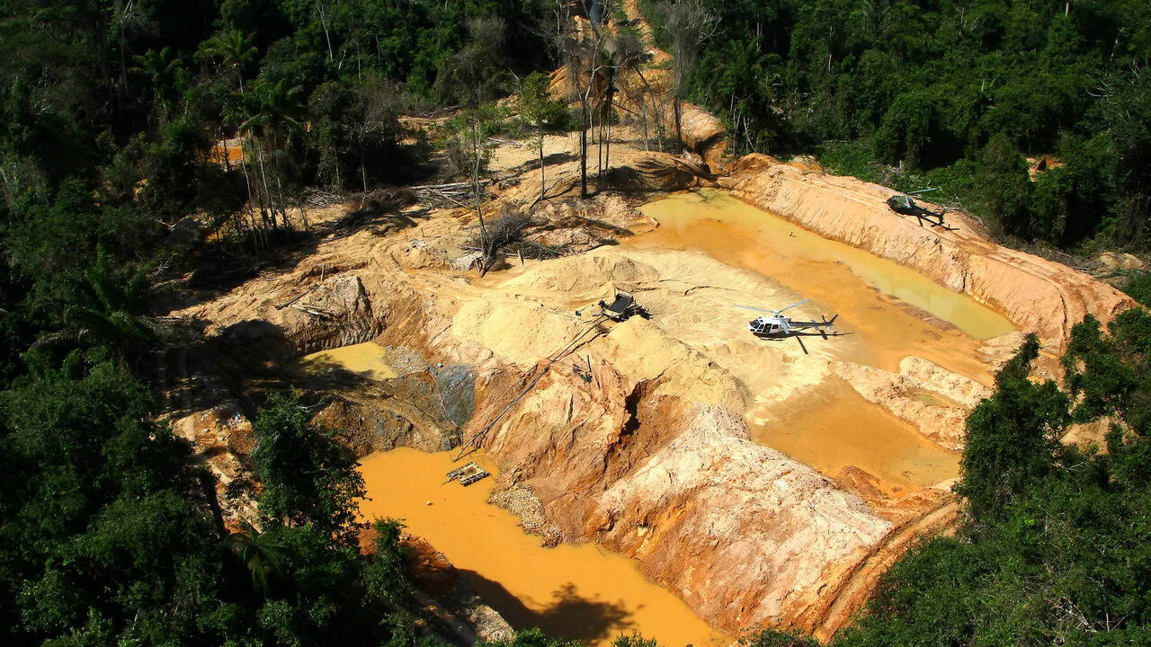Gold mining surge in Brazil's Amazon leads to increased deforestation ...