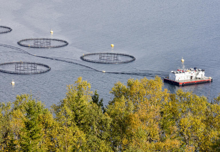 Brudd i forhandlingene om Havbruksoverenskomsten
