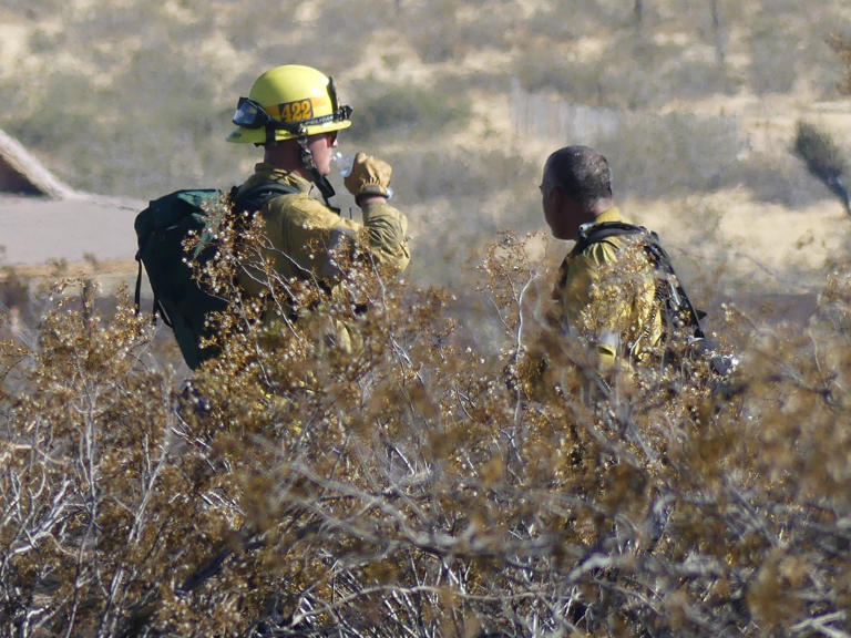 Fuel reduction project in Hesperia continues as fire safety ramps up