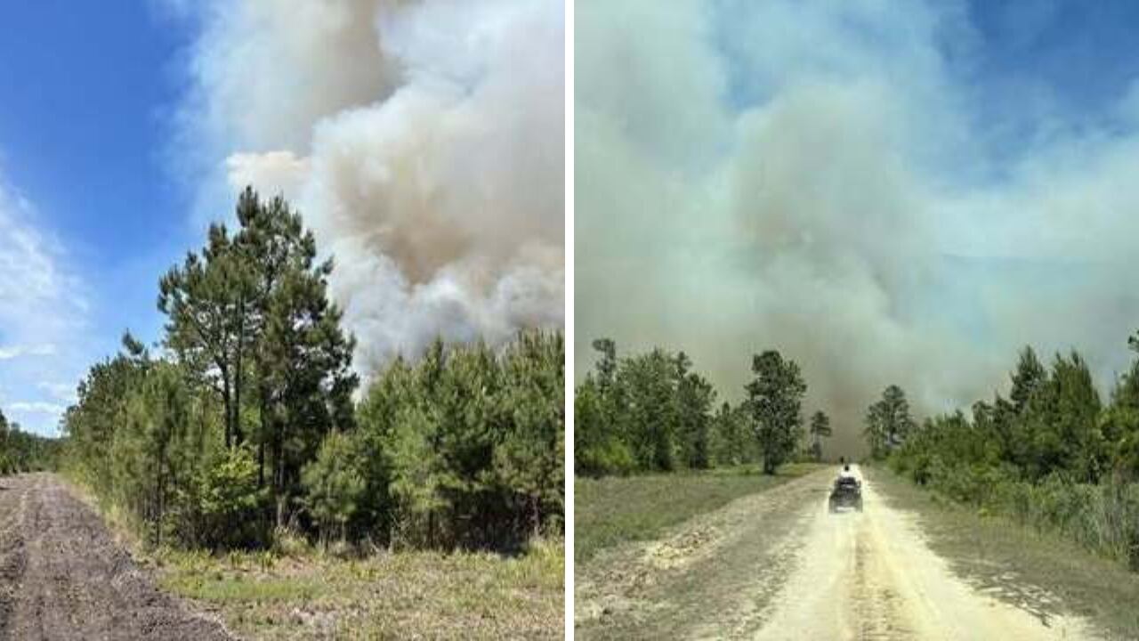 Smoke in northern Horry County stems from prescribed burn