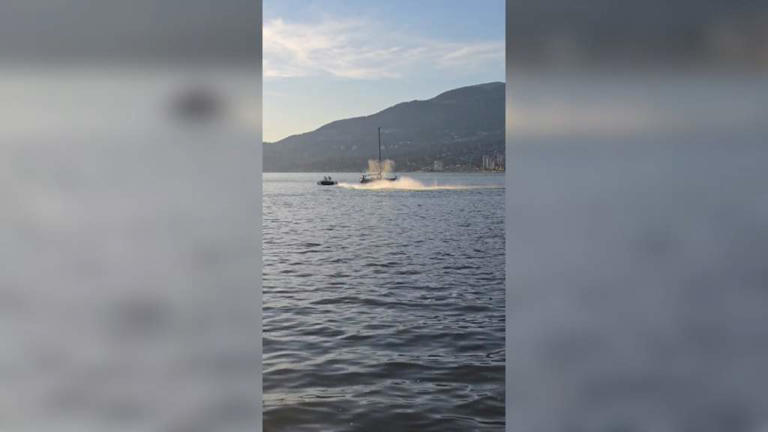 Video captures moment jet ski hits grey whale off Stanley Park