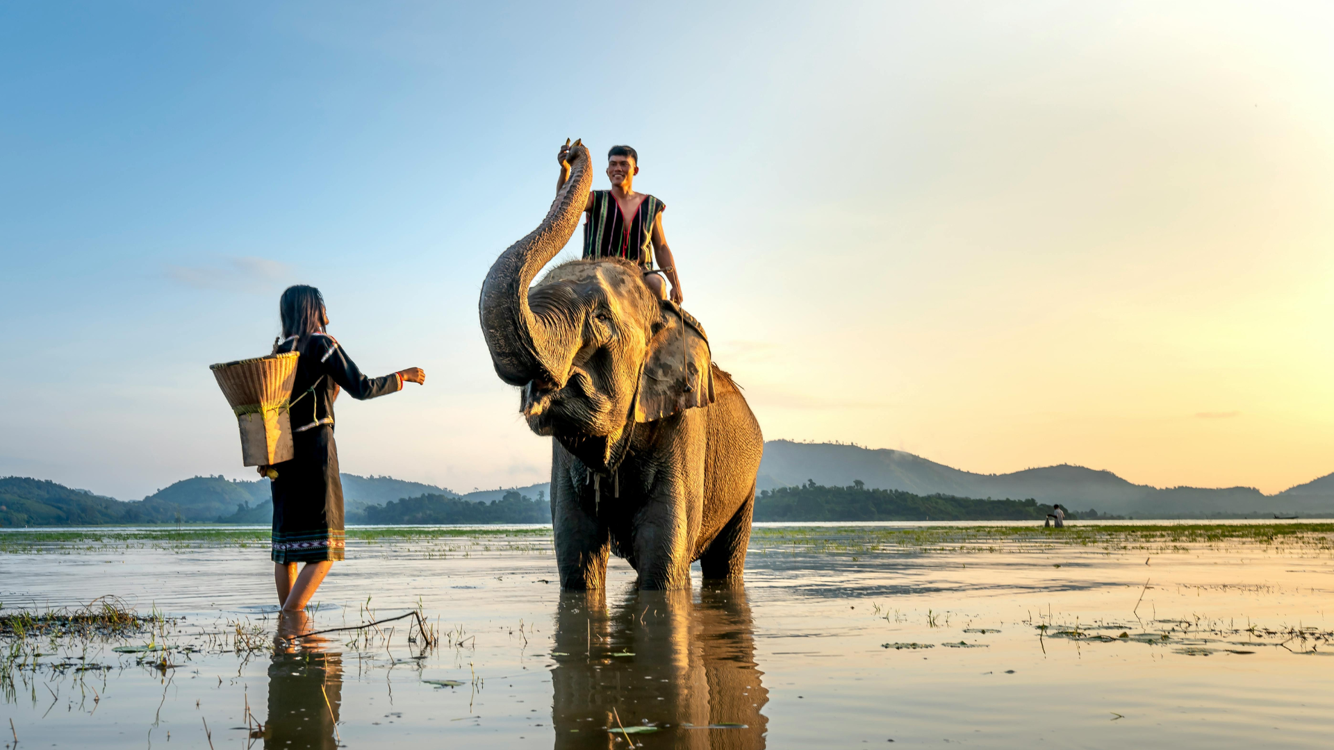11 countries that attract wildlife travelers from around the world