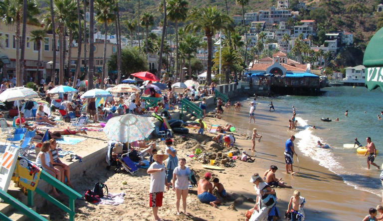 Ride the ocean: A Sea-Doo adventure to Catalina Island