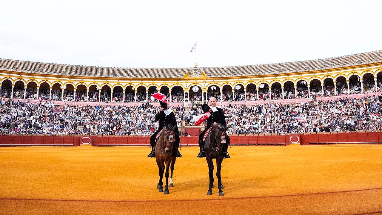 Weeks after bullfighter suffered perforated rectum, another was gored ...