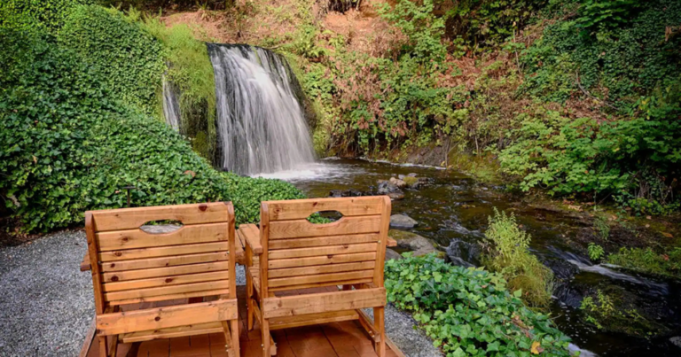 5 Washington Airbnbs with infinity pools, cold plunges, and waterfalls