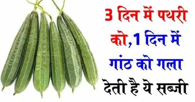The health benefits of ridge gourd: A natural remedy for various ailments