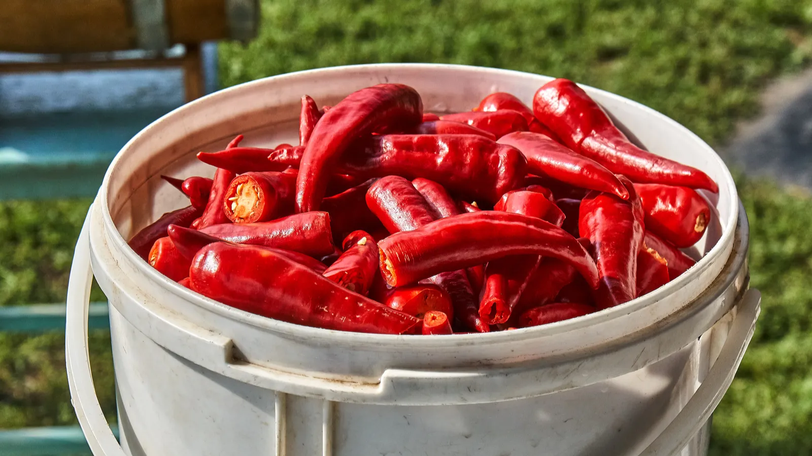 Are DIY hot sauce kits a flavorful win or just another trendy kitchen ...