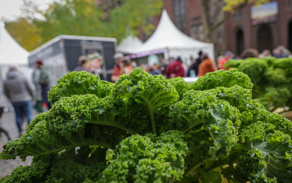 Cruciferous veggies that love your body back