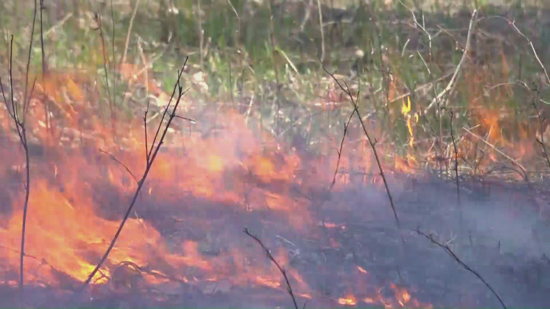 Prescribed burn in Kennebunk sends smoke into the sky