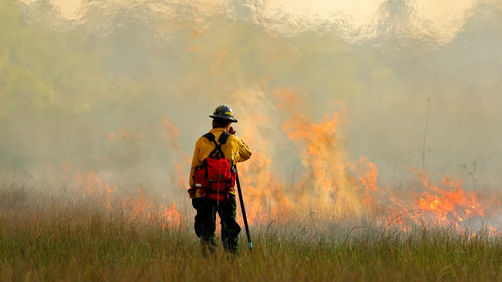 What happens to Denver, Colorado’s wildfire risk when heat, wind, and ...