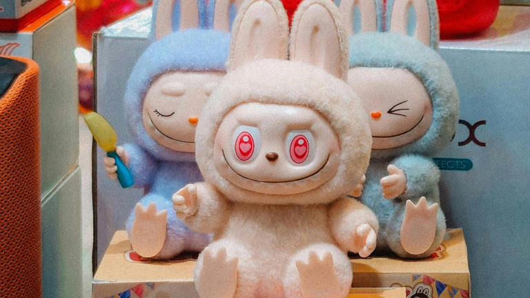 Why was everyone obsessed with Labubus?