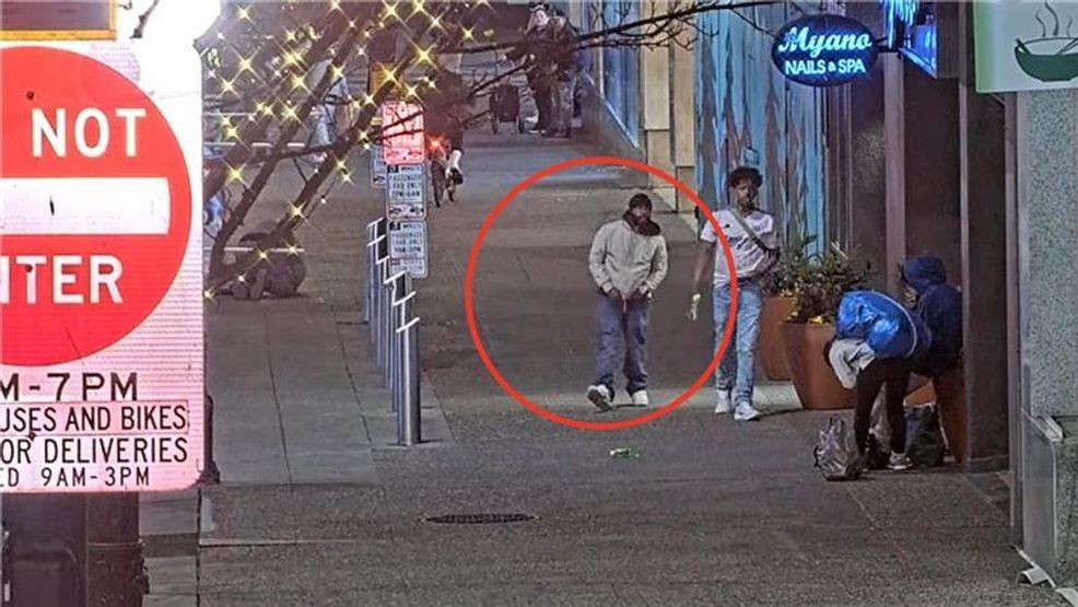 Both suspects in violent unprovoked attack on Seattle senior citizen ...