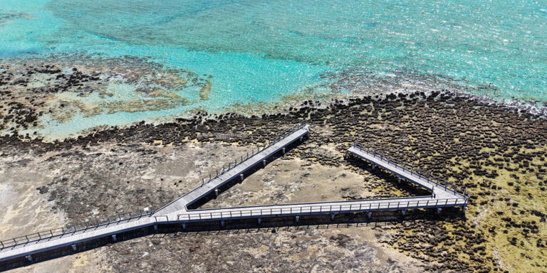 New $4.6m Shark Bay boardwalk announced for viewing stromatolites