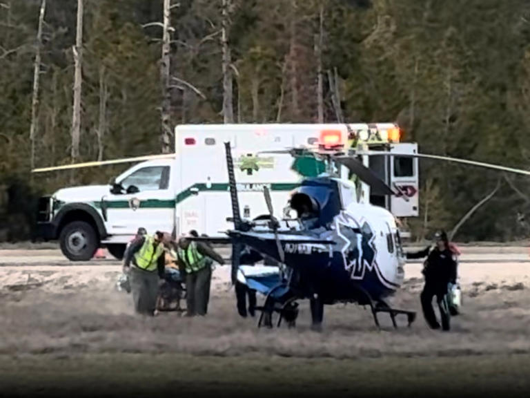 2 hikers injured in bear attack at Yellowstone National Park
