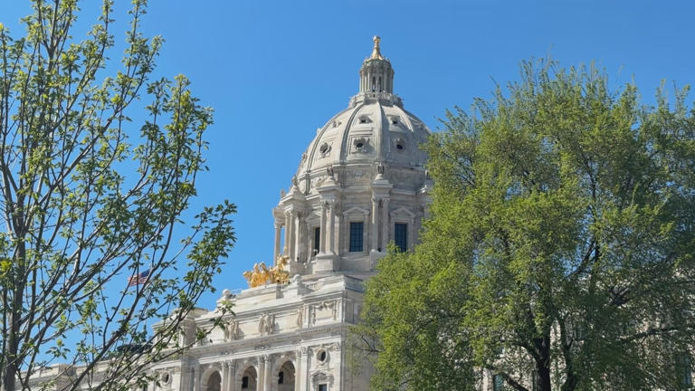 Bill to limit terms for Minnesota governors, lieutenant governors still ...