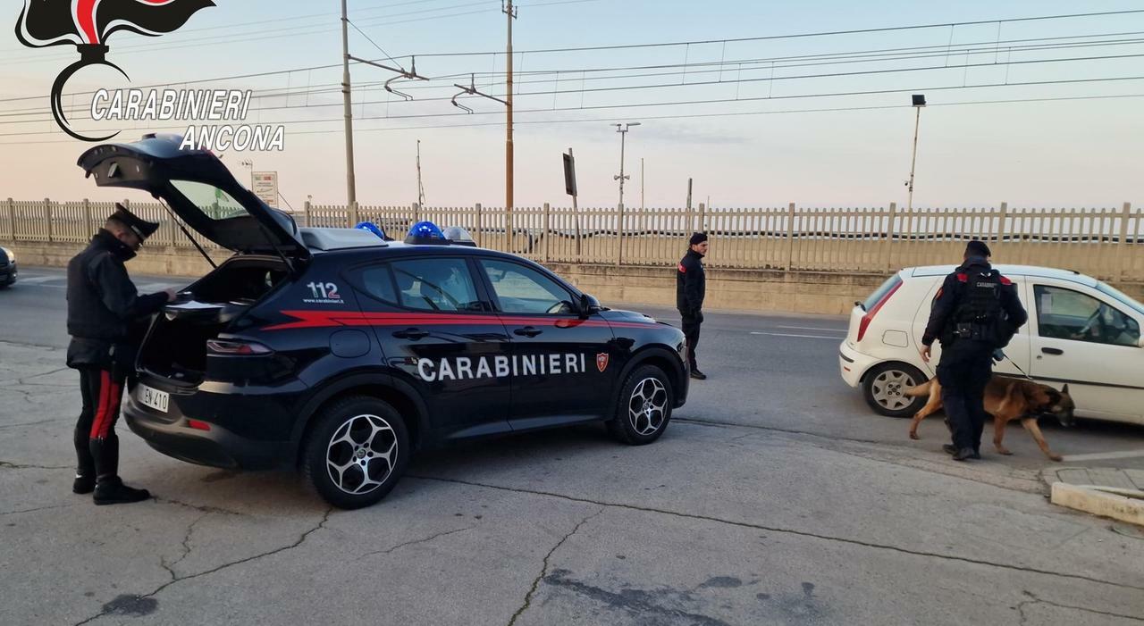 Falconara, brucia l’alt e scappa con l’auto rubata: inseguimento da ...