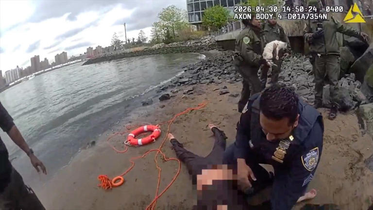 NYPD rescues woman, cat stranded in East River under Brooklyn Bridge: video