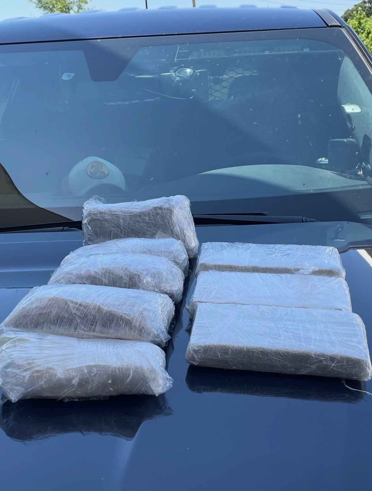 Over 17 lbs of fentanyl interdicted by West Tenn. Drug Task Force
