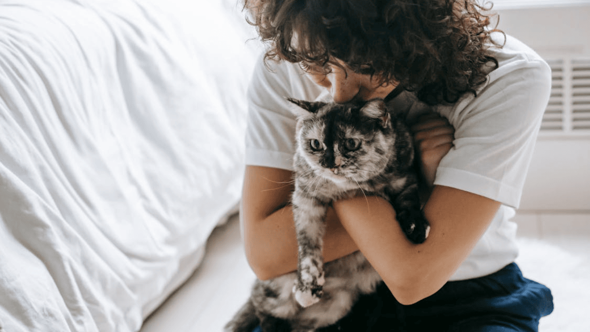 Mind readers? 9 things your cat understands about you (that might ...