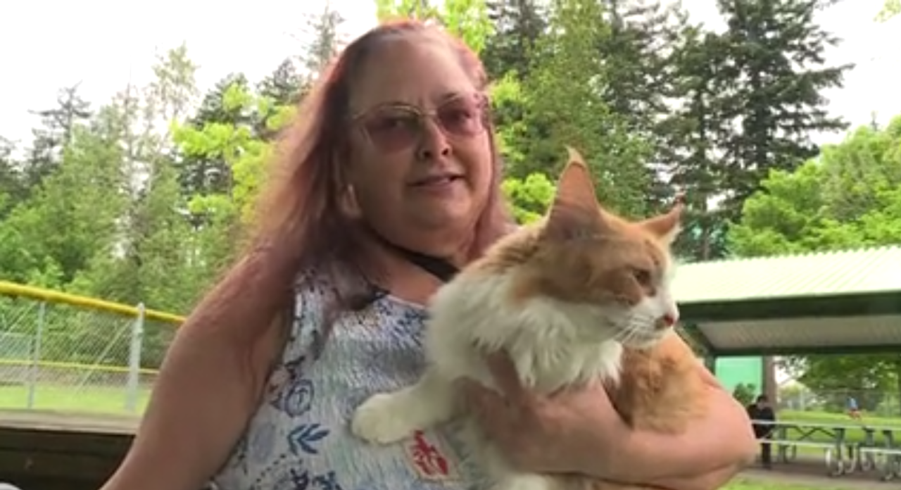 ‘They’re finally home’: Southeast Portland woman’s missing cats found ...