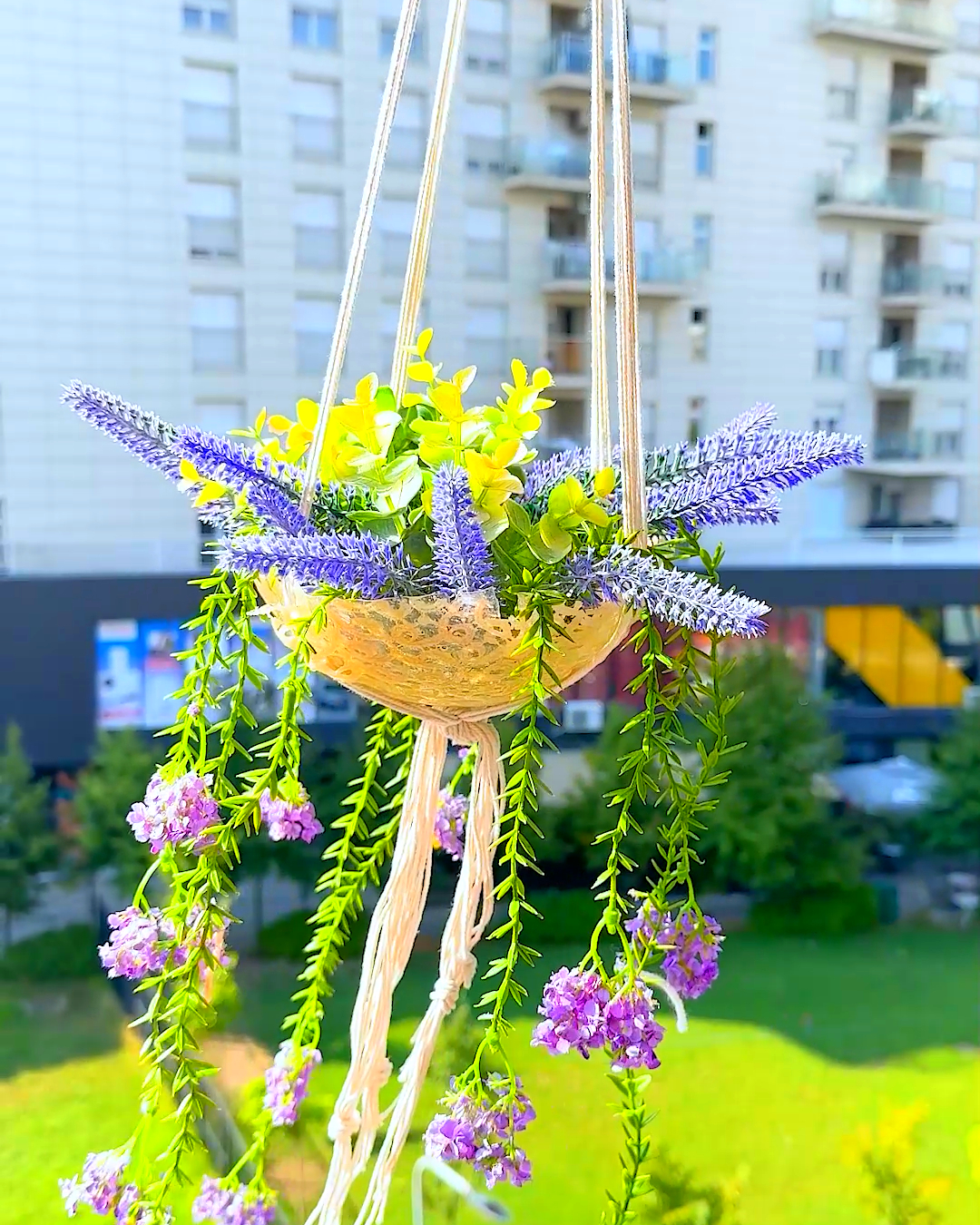 Elevate your decor with this DIY hanging planter! 🌺🏡