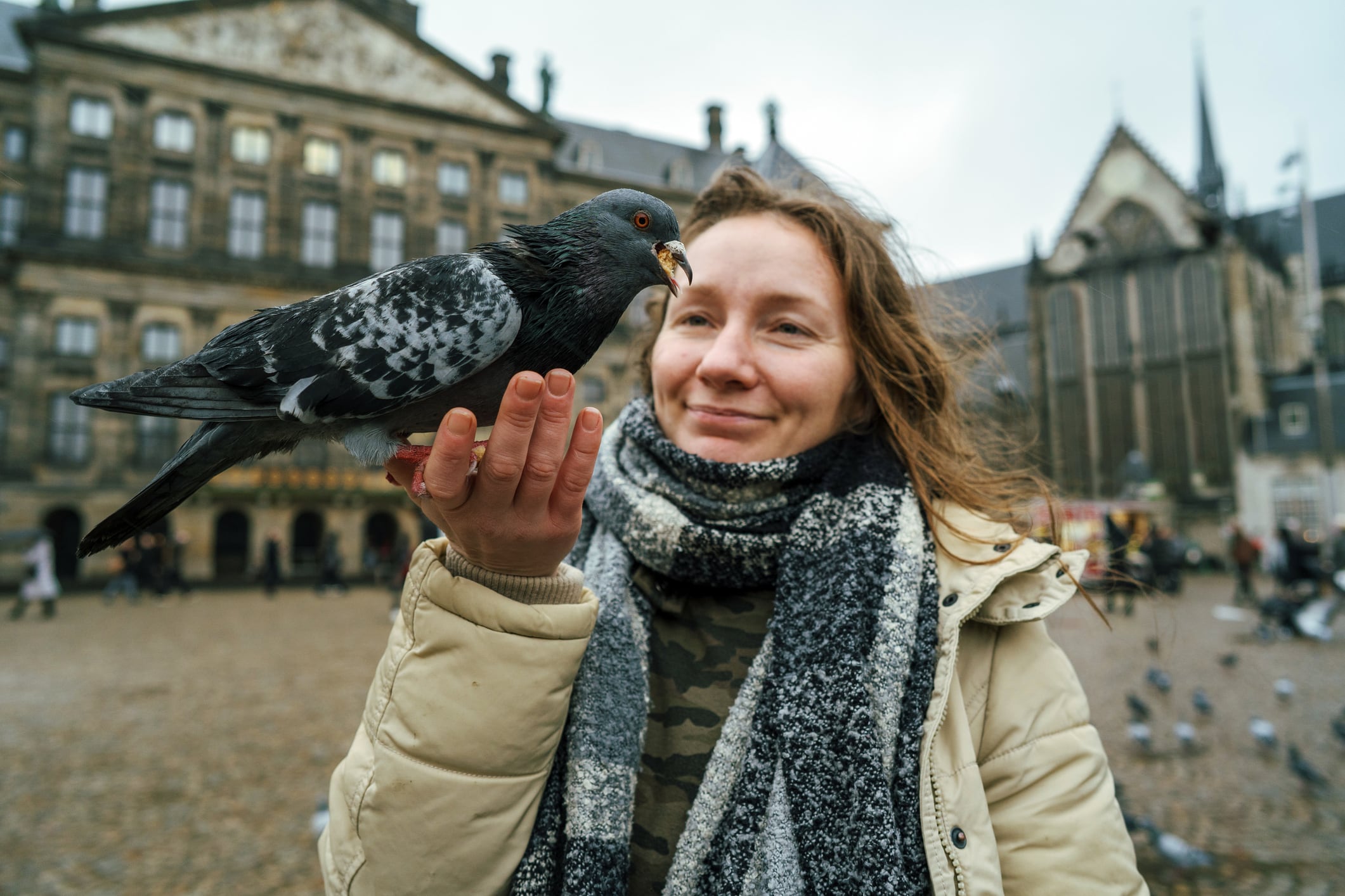 Estudio reveló que las palomas tienen un comportamiento extraño con las ...