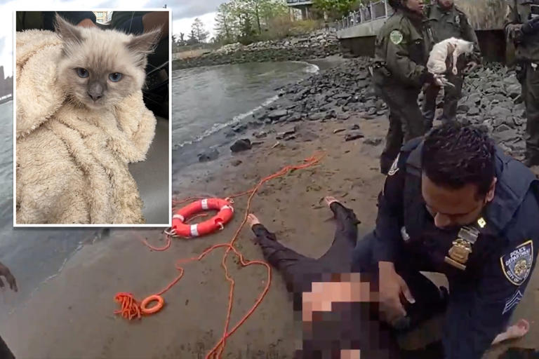 NYPD rescues woman, cat stranded in East River under Brooklyn Bridge: video