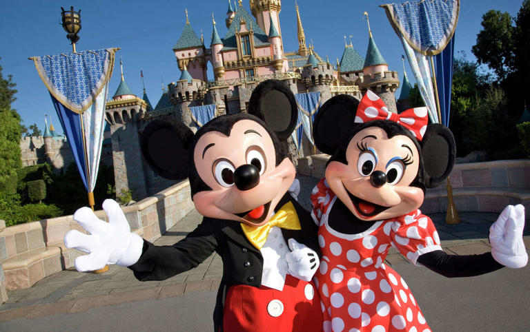 California drivers could soon get Disneyland license plates