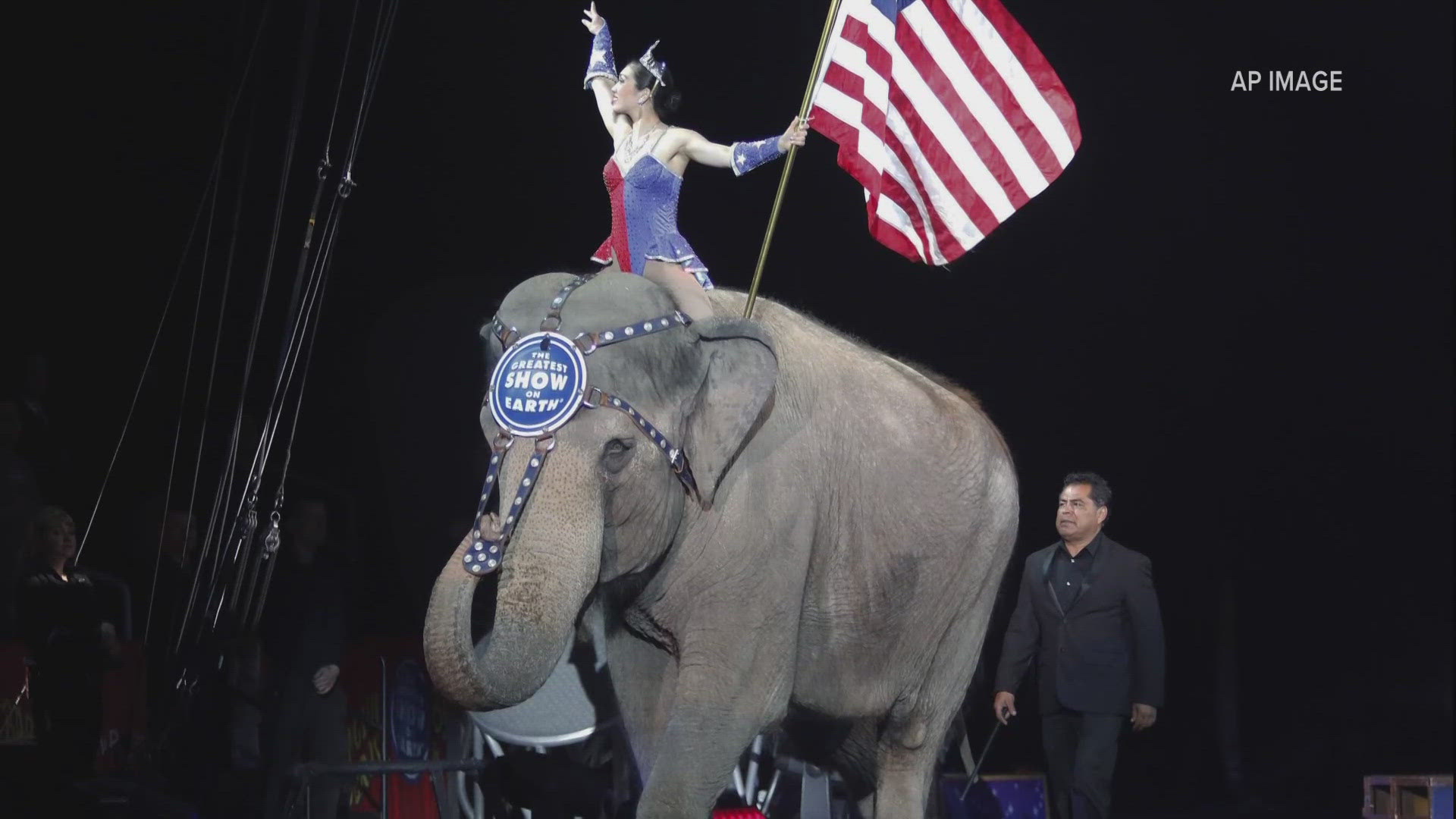 State close to banning circus animal performances