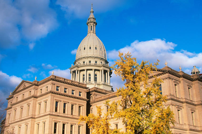 Democrats keep control of Michigan state Senate after special election win