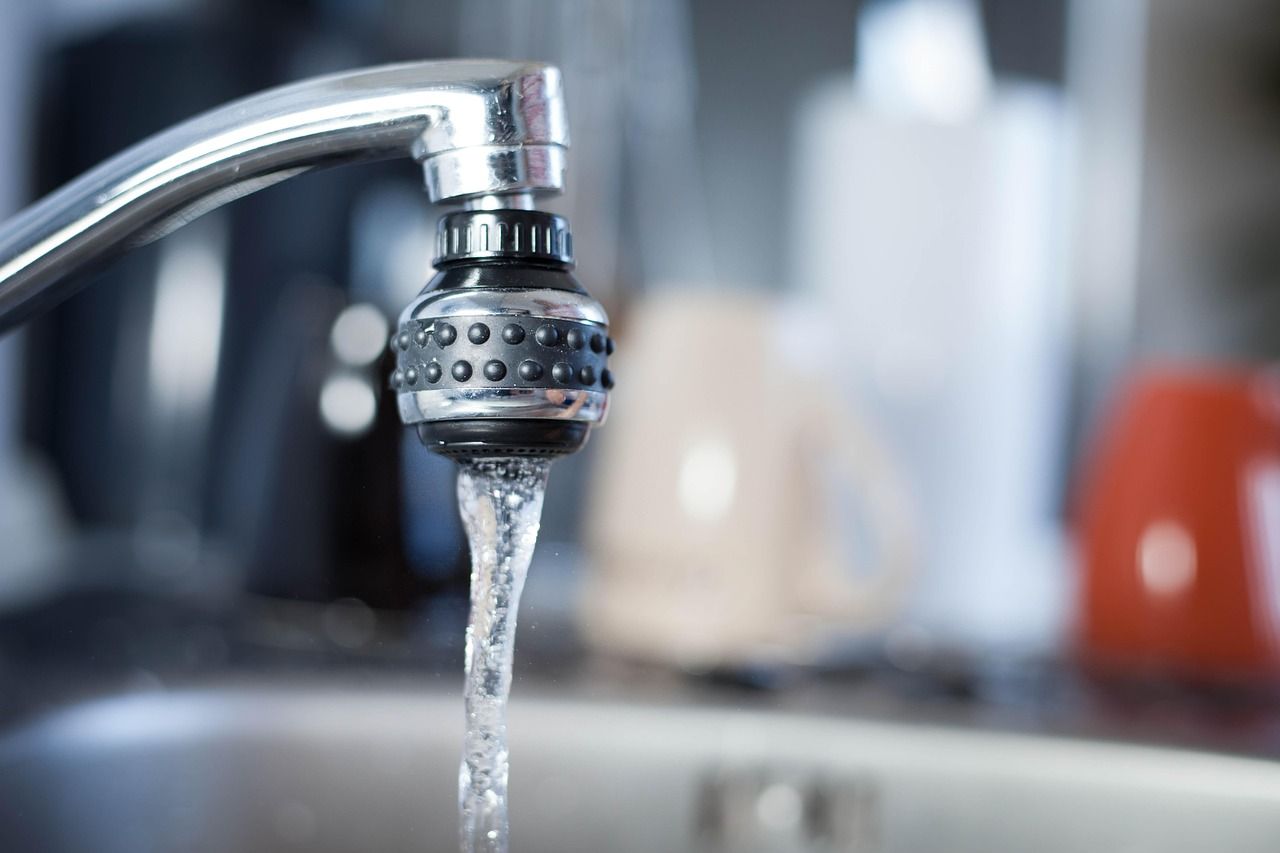 💧 These simple seeds prove highly effective at purifying water from ...