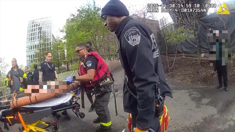 NYPD rescues woman, cat stranded in East River under Brooklyn Bridge: video
