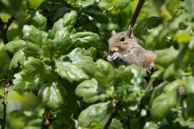 The best South Wales Argus Camera Club pics today