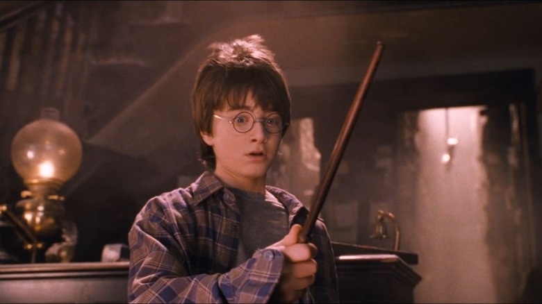 Every main character's wand in Harry Potter explained