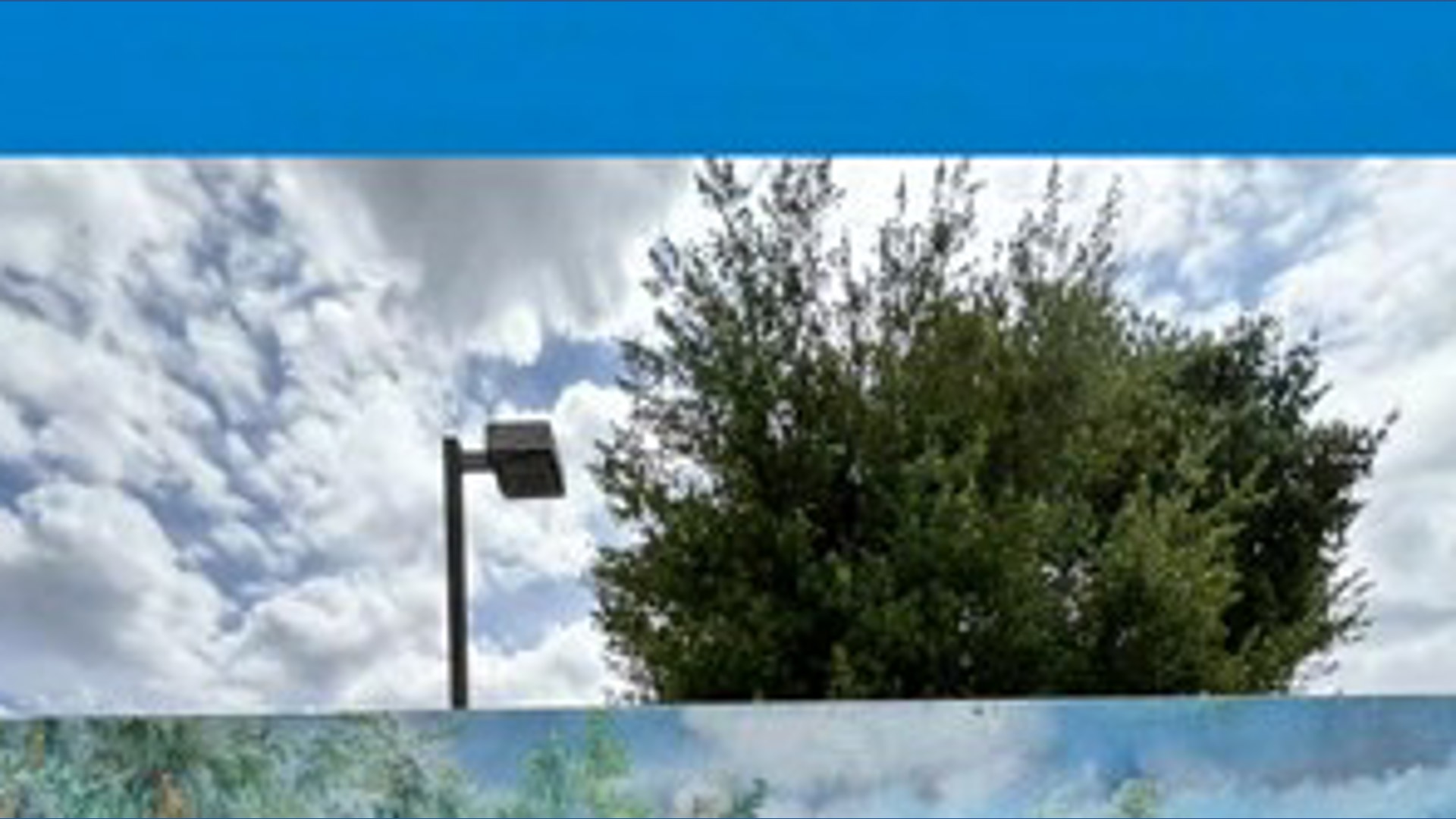 Lakeland’s 'Mural Passport' turns public art into interactive ...